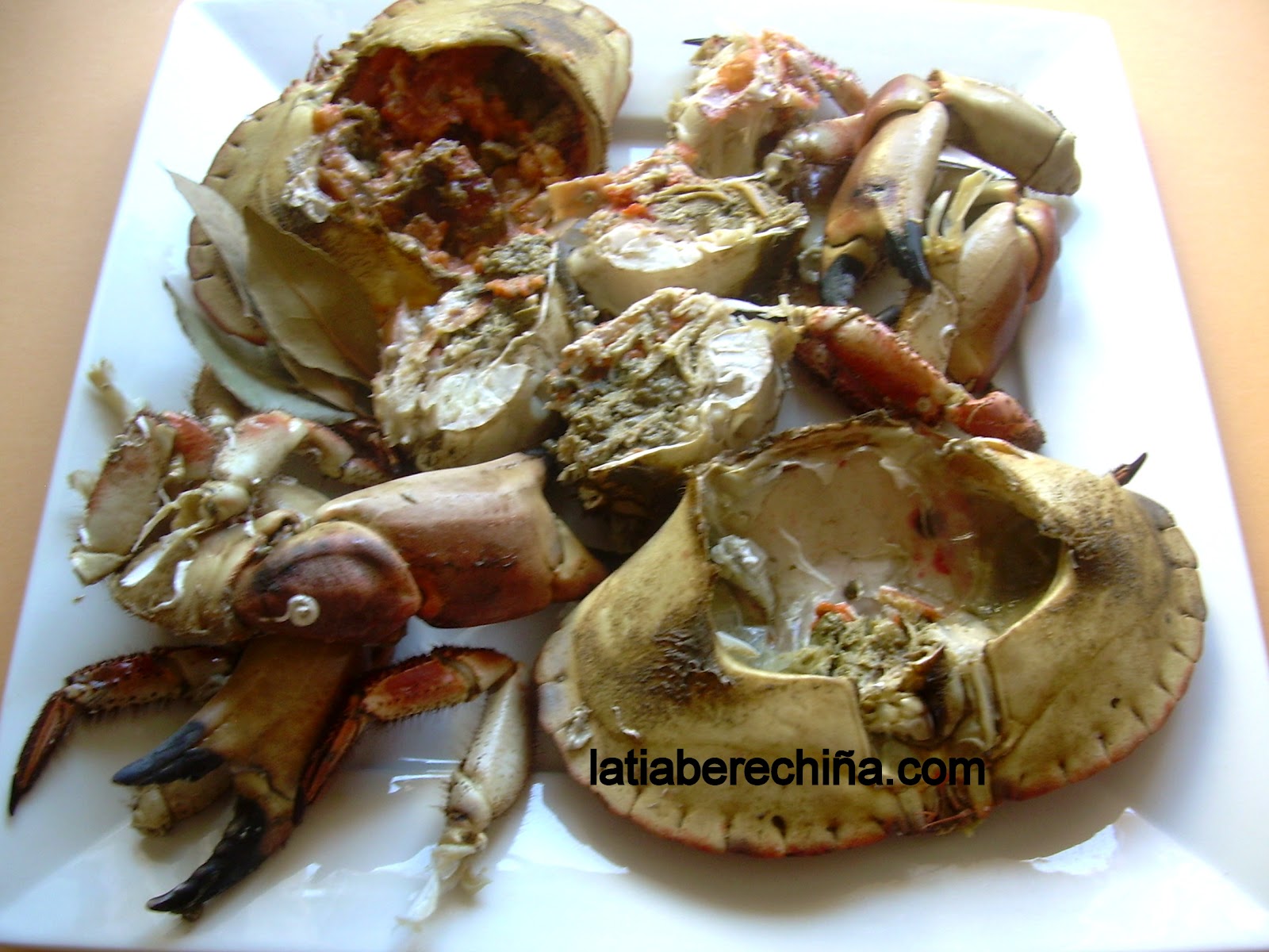 El blog de la tia Berechiña: Buey