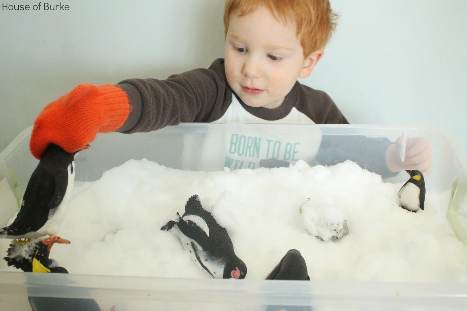 House of Burke: Penguin Small World with Snow