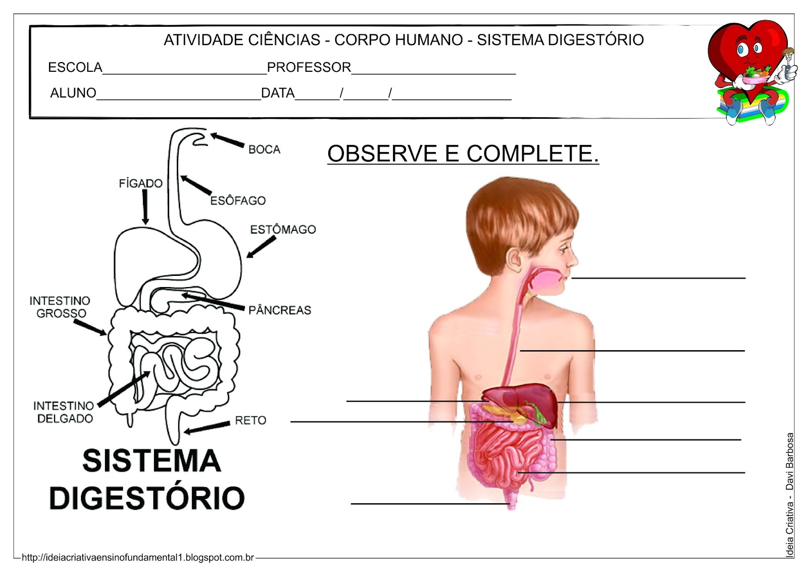 Lipitipi- Atividades e Projetos Fundamental I: Atividade Ciências Corpo ...
