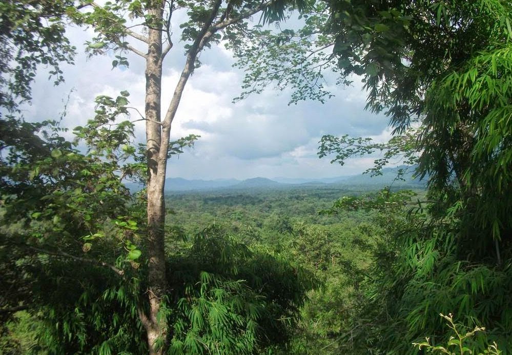 Jharkhand Forests ~ Siva Travelogue