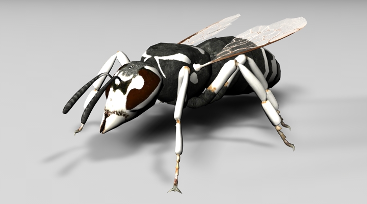mrmarciohanmodels: Wasps models 3D !!! On Asset Store for Unity 3D!!