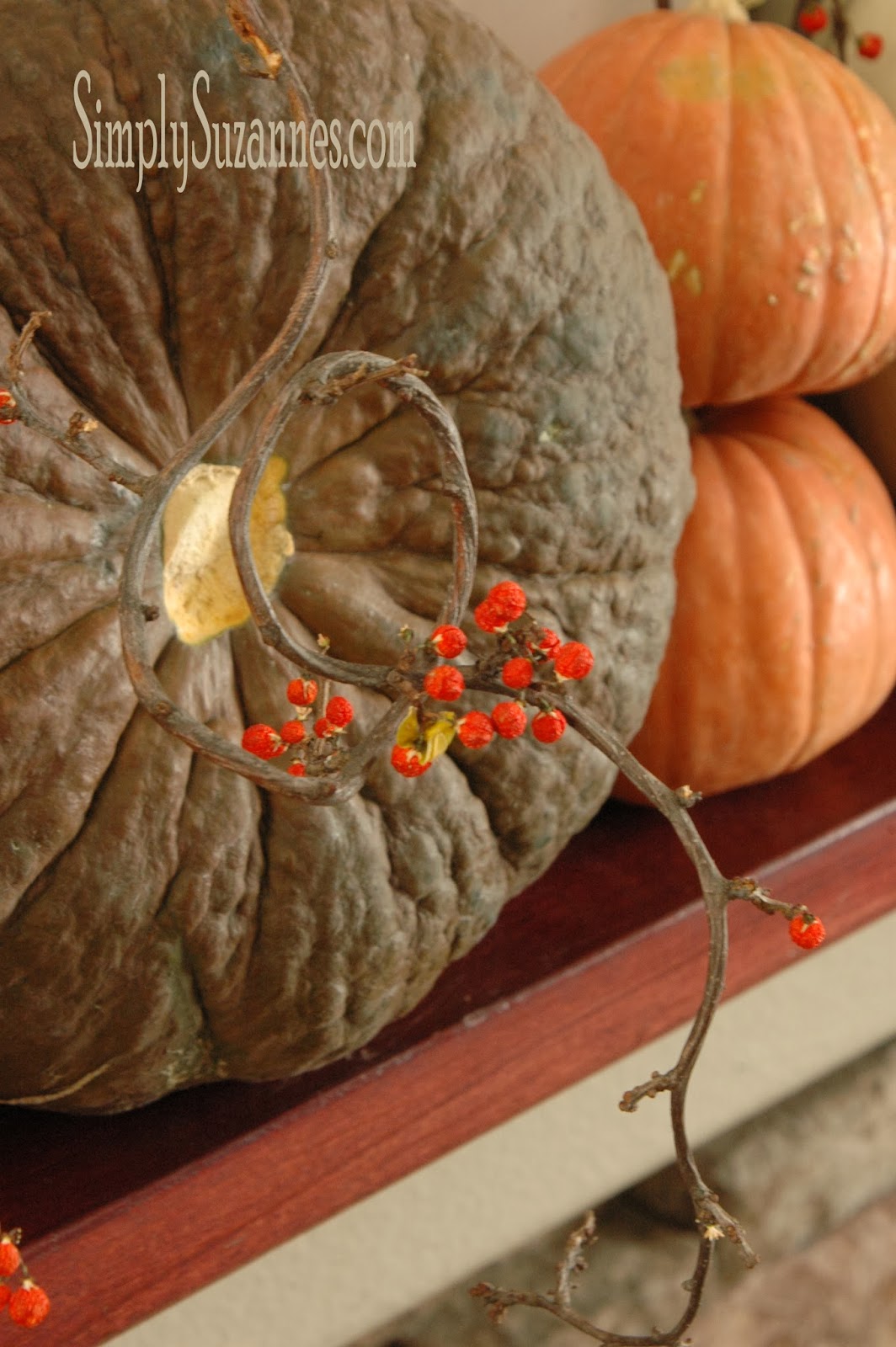 Simply Suzanne's AT HOME: bittersweet in Fall decor