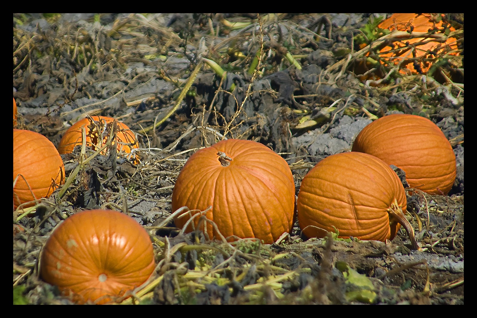 DalmDad's Photo and Travel Blog: Over the Mountain (Part 1 of 7 ...