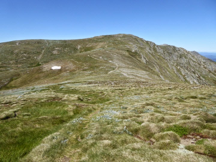 Urs' Gap Year Blog: Mt Twynam, only third highest, but the best views