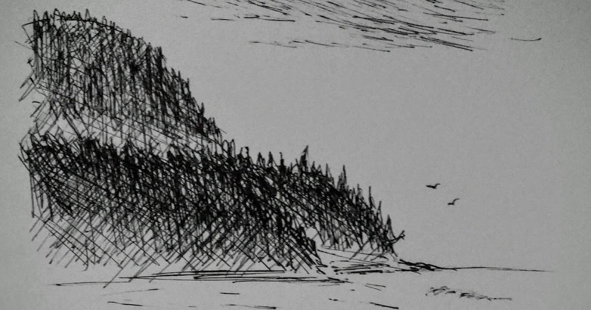 A Creative Journey, by Michael Mitchell: Oregon coast sketches