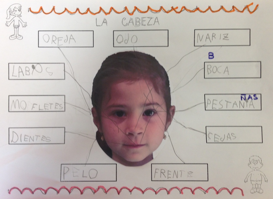 LA CLASE DE MIREN: mis experiencias en el aula: MI CUERPO: MI CABEZA