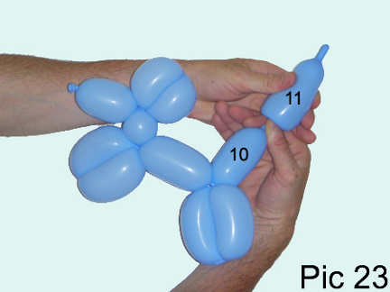 CLASSICAL: Balloon dog