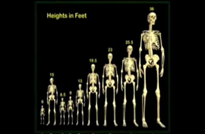 Le Son du Shofar: Empreinte de Géant ? Photos de Géants