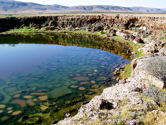 Socotra's Amazing Landscape