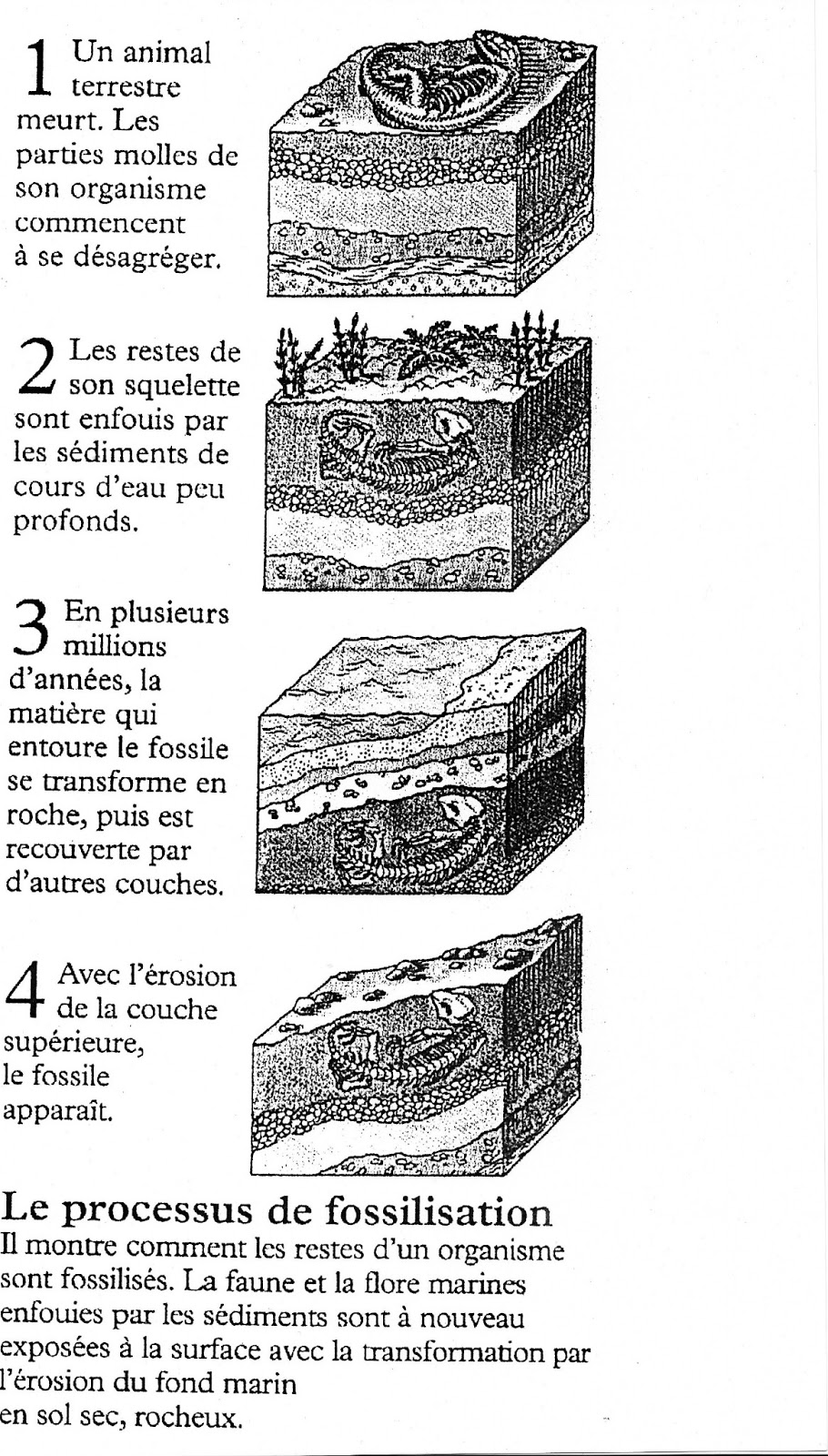 HISTOIRE DE LA SARTHE: TEL UN LIVRE OUVERT....GUECELARD, FEUILLETS ...