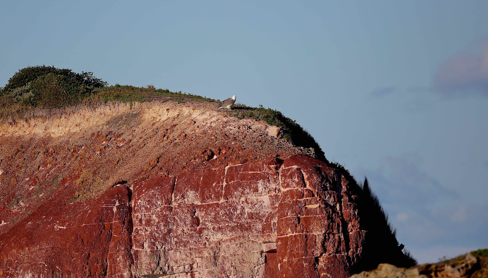 Avithera: Haycock Point, Ben Boyd National Park, NSW