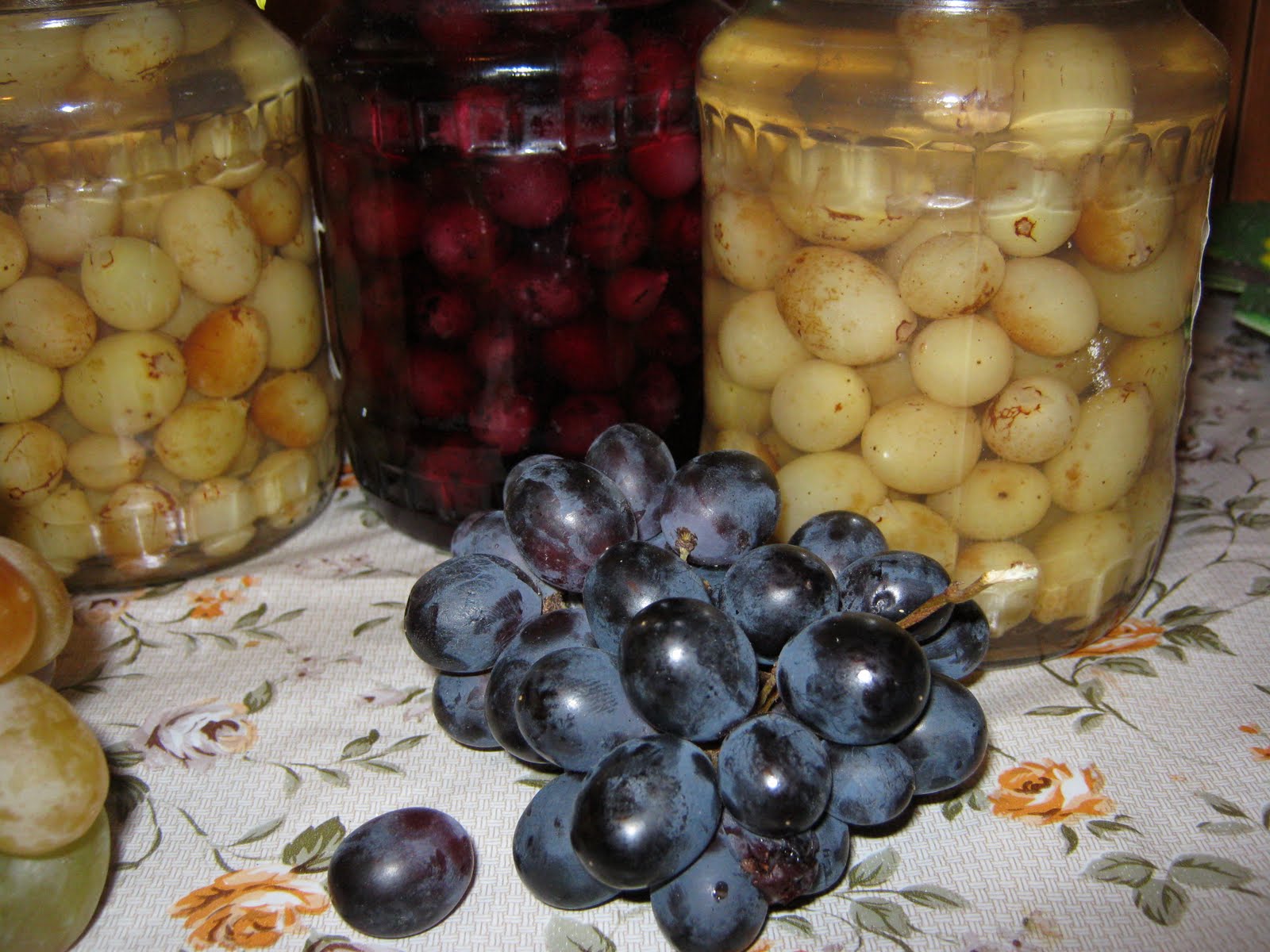 Retete gustoase si garnisite: Compot de struguri