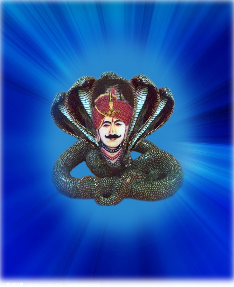 Shree Maha Vidhya Nag Kallaji Gogaji Dham Asoda,Banswara: Nag Kallaji ...