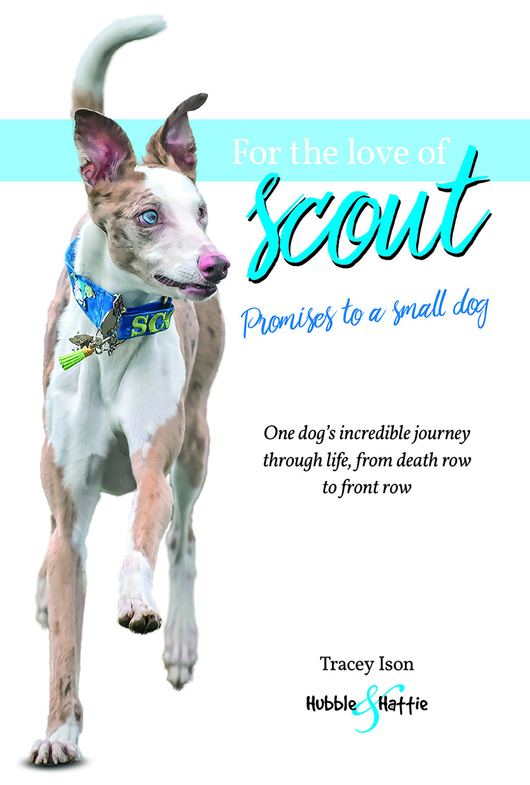 Dog Lovers Book Club - August 2017 | Australian Dog Lover