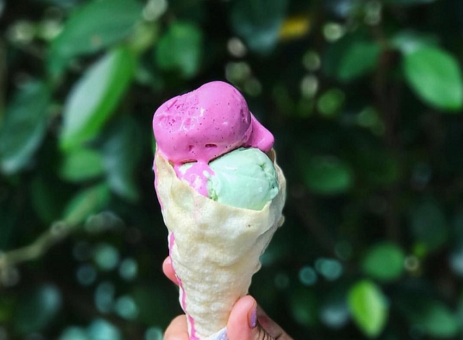 The Buzzz by Bohol Bee Farm - Best Ice Cream Place in Bohol