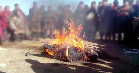 Self immolation toll reaches 76 in Tibet ~ Osa's eye: Opinions & Views ...