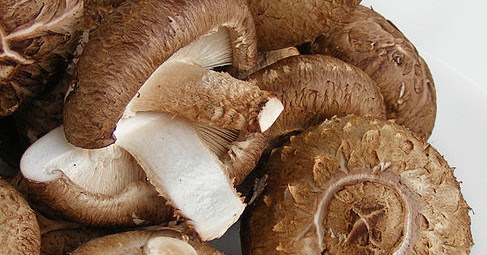 AAEM Resident and Student Association : Shiitake Mushroom Dermatitis: A ...