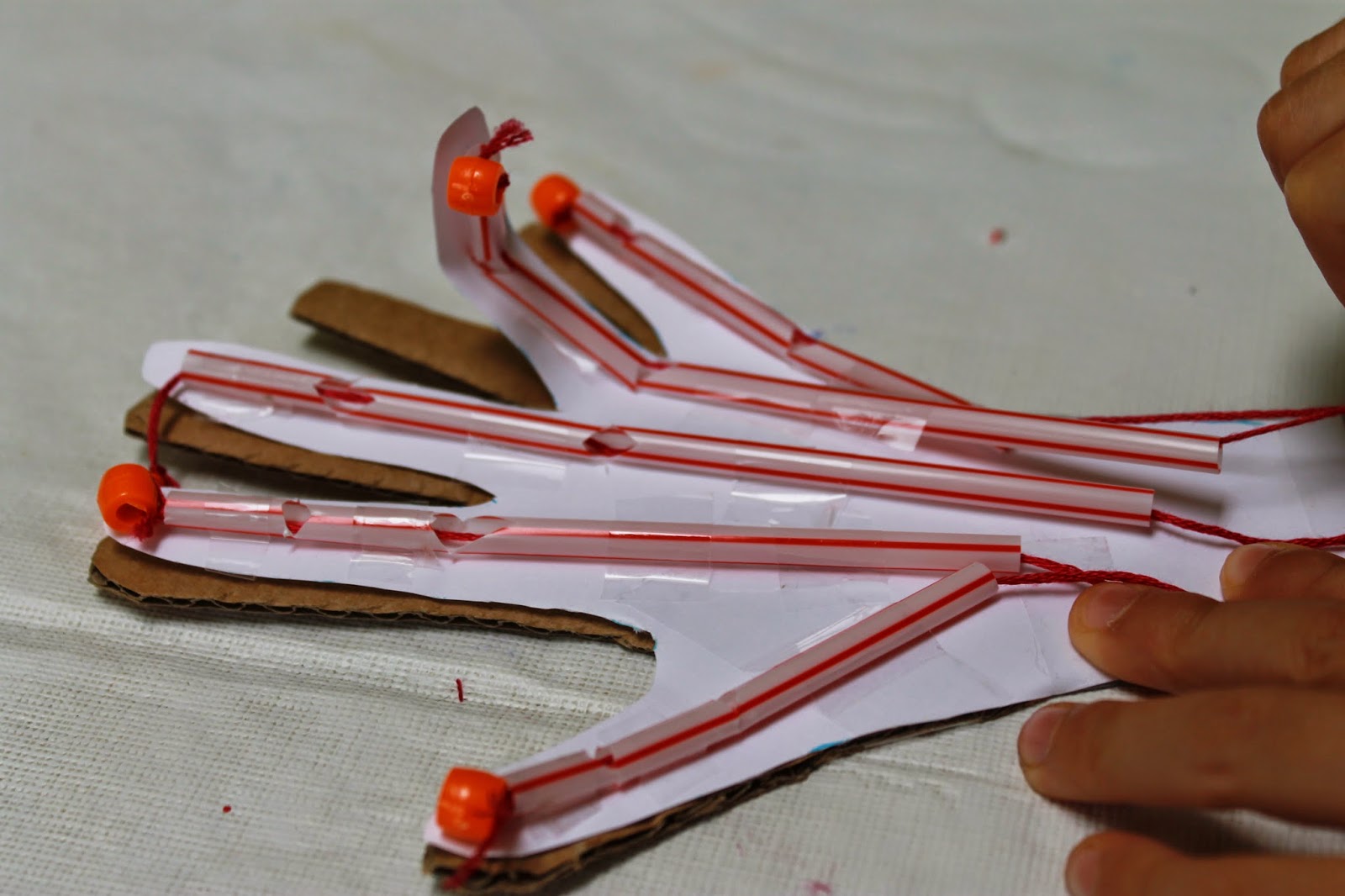 You want to learn about What??: Human Anatomy-the Muscular System