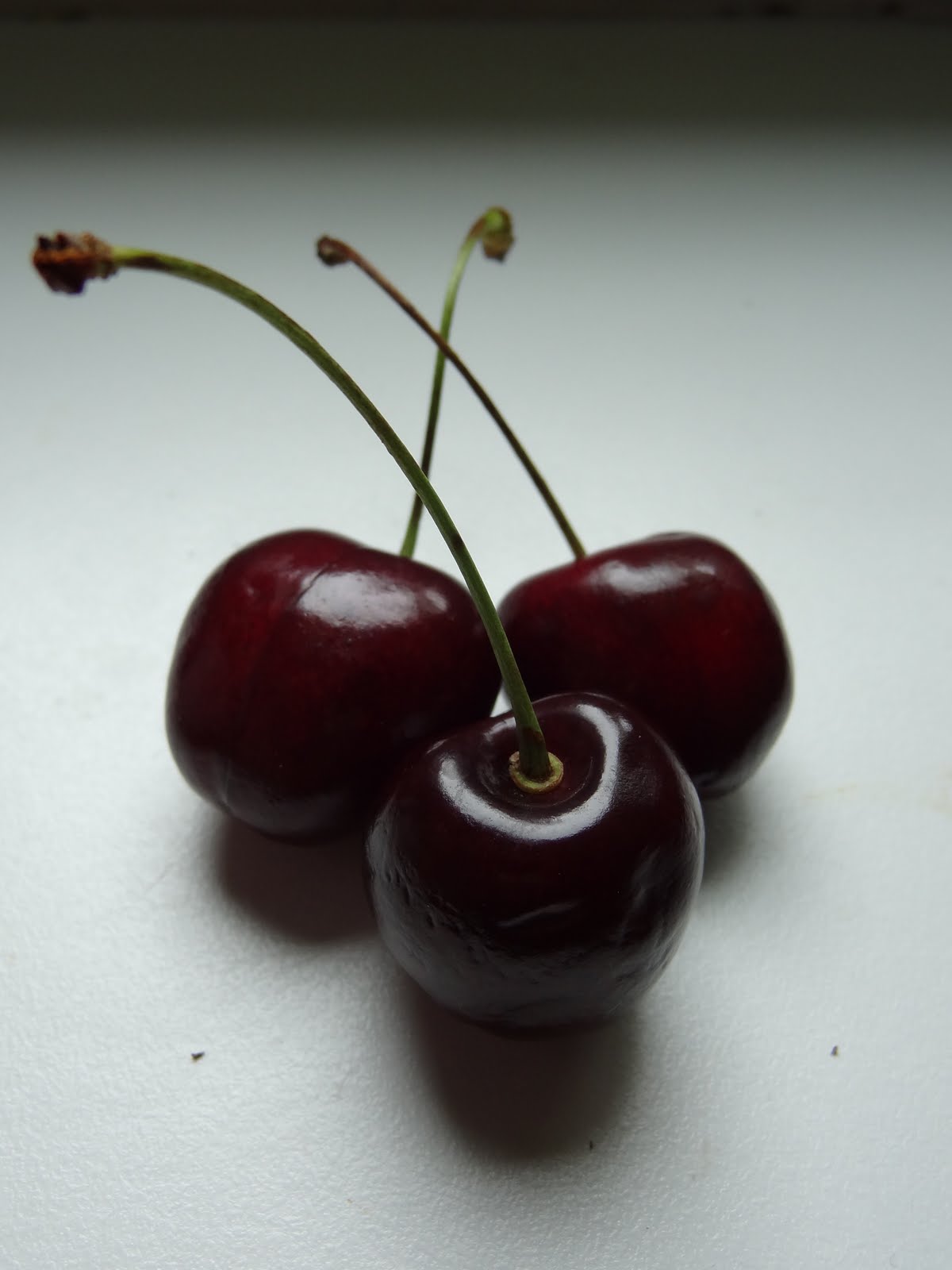 Bilder-Bibliothek: Kirschen