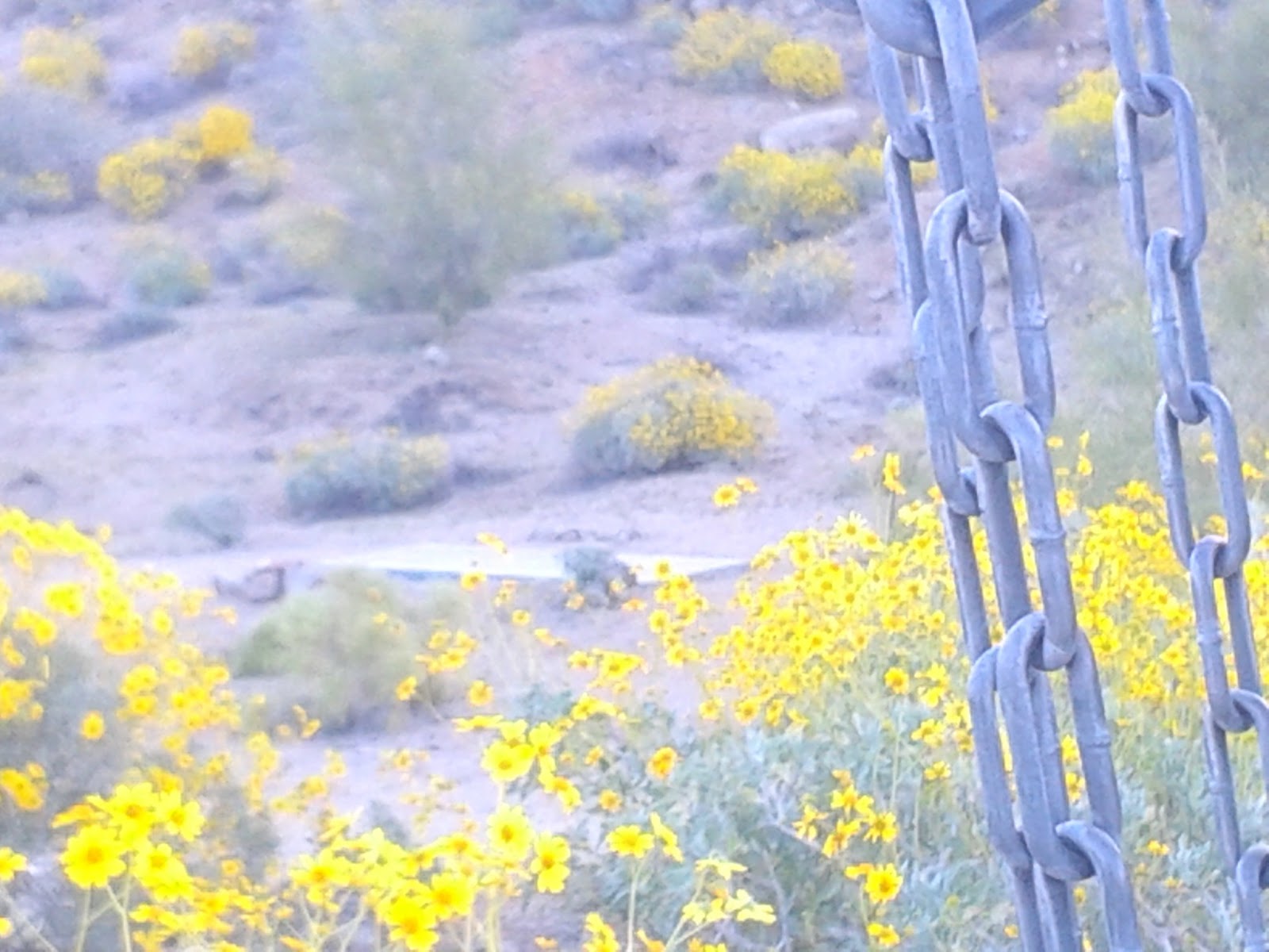 Buffalo Ridge Disc Golf Course