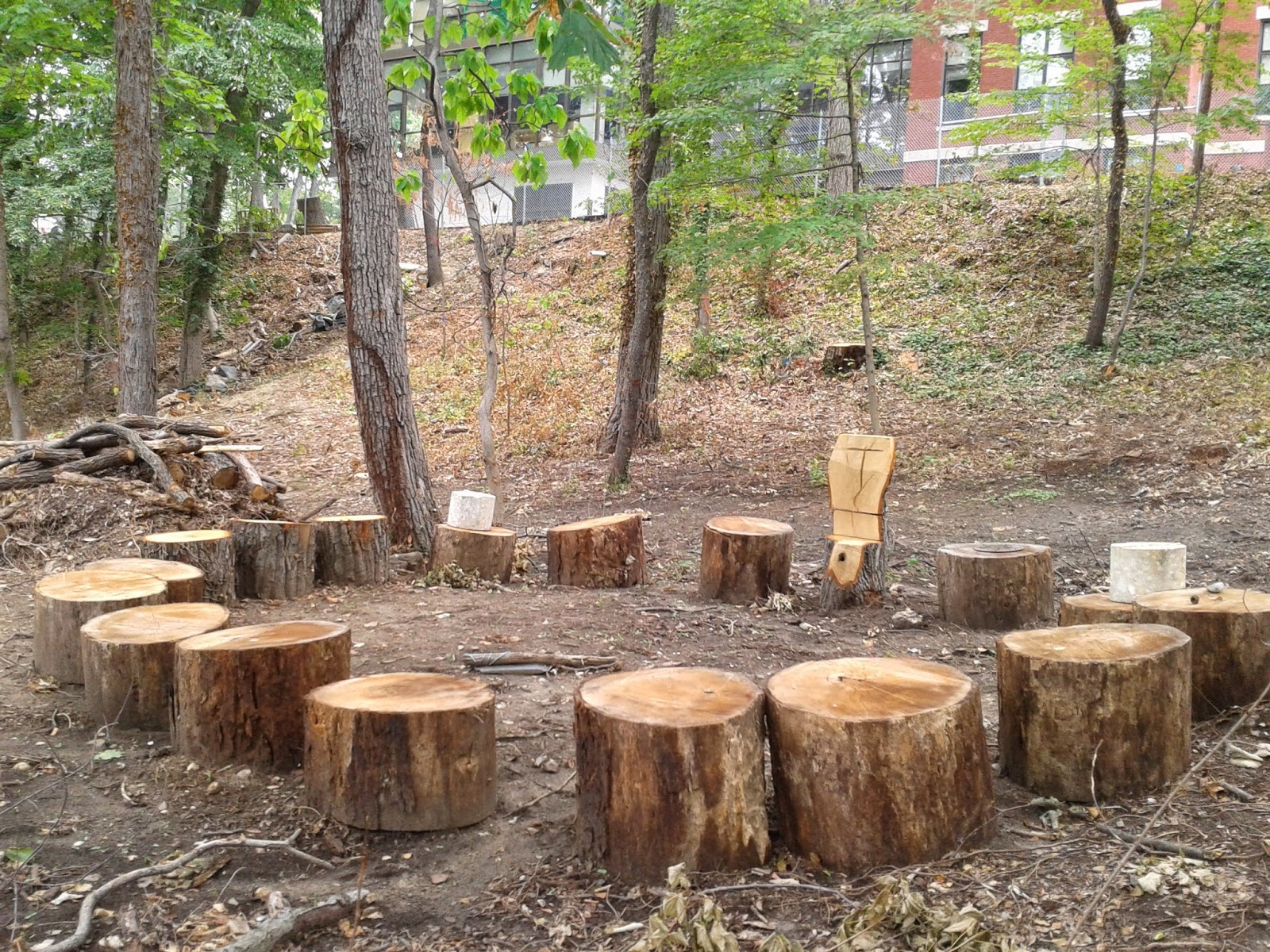Little Scientists With Tans Outdoor Classroom Ideas