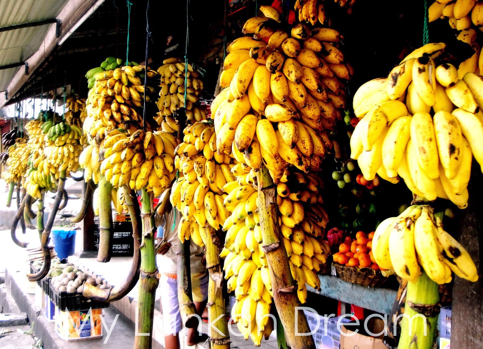 Sri Lankan Travel Blog: Top 10 fruits to try in Sri Lanka
