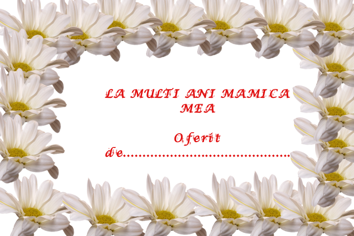 La gradinita: DIPLOME SI FELICITARI