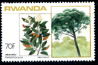 BIODIVERSIDAD FORESTAL: Biodiversidad Forestal(RUANDA)