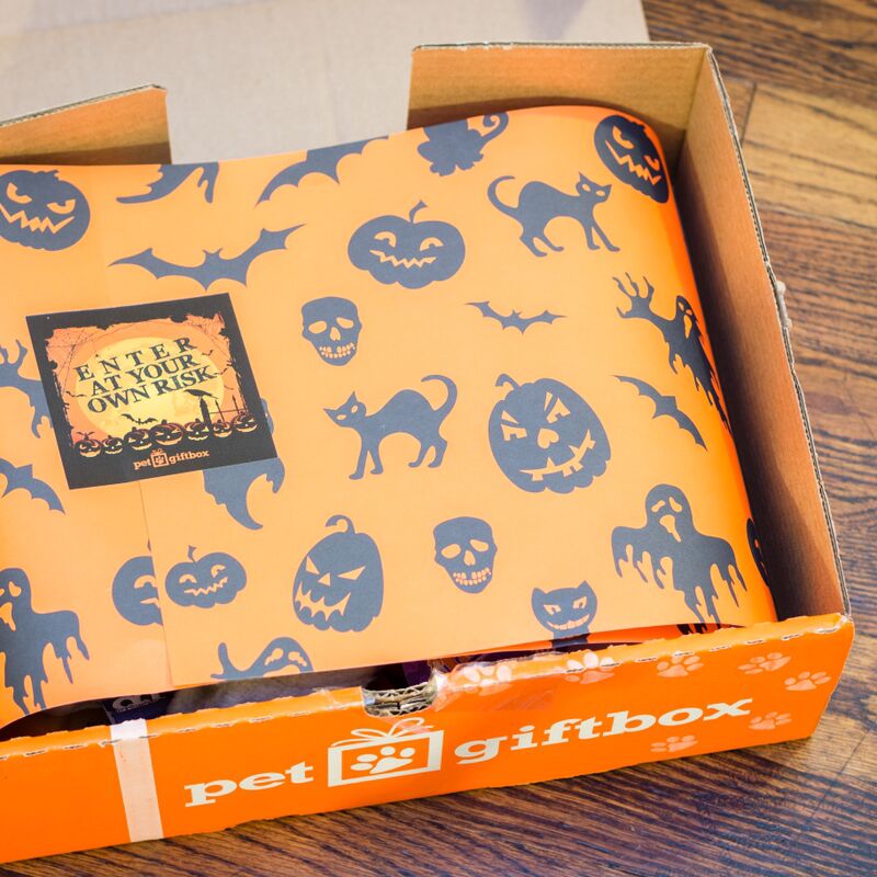October 2015 Pet Gift Box | The Product Experimenter