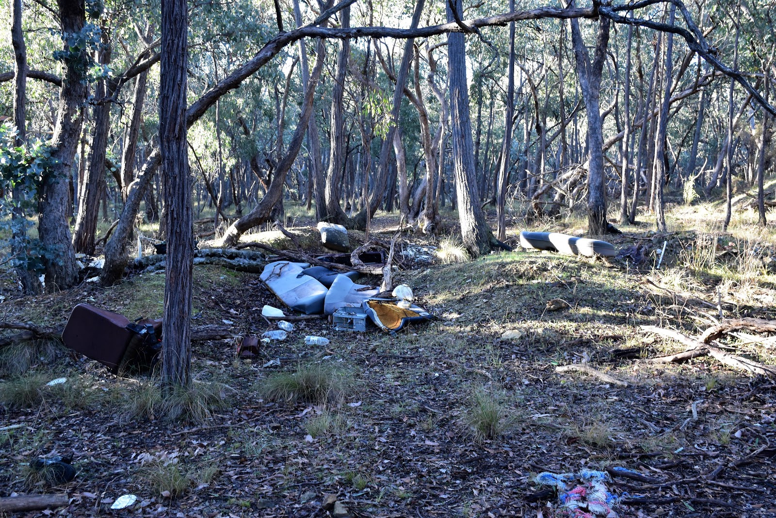 Goin' Feral One Day At A Time: Mundy Gully, Spring Plains Nature ...