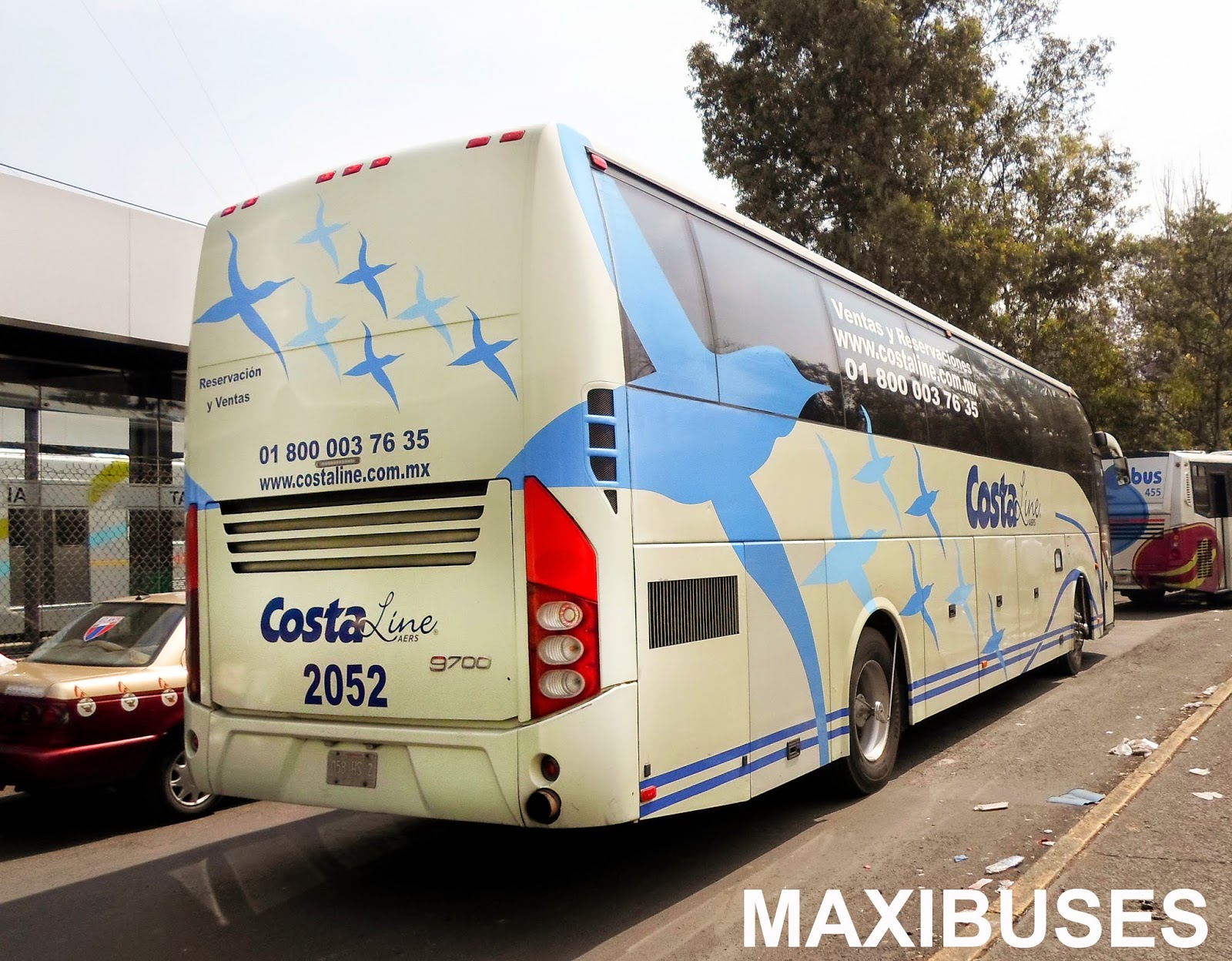 MAXIBUSES: COSTA LINE