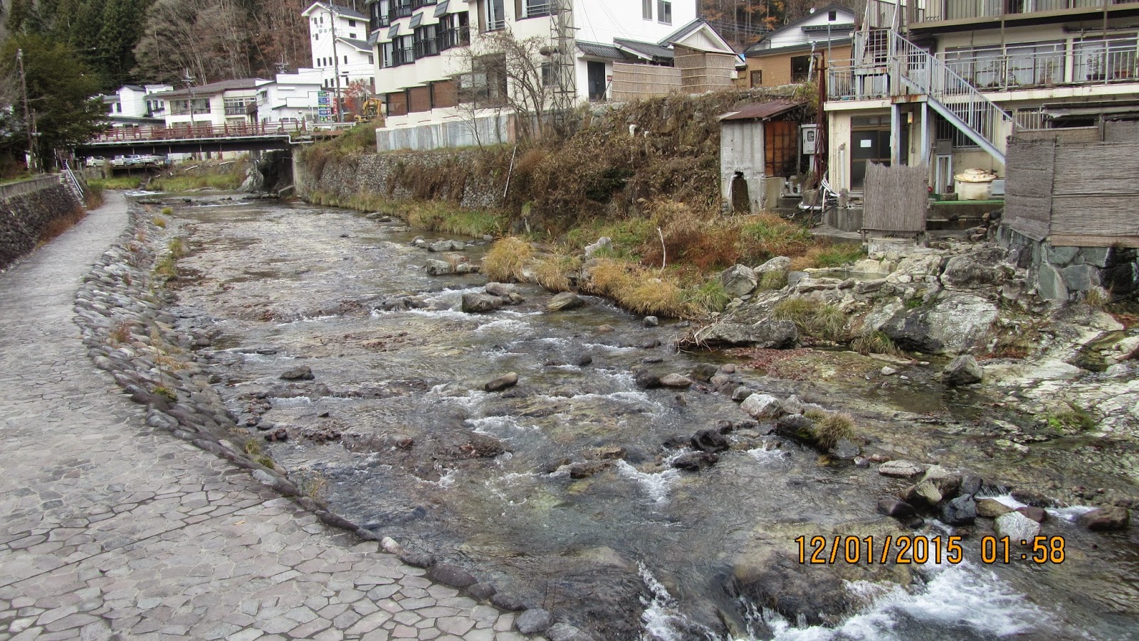 A Year In Japan: The 日光 (Nikko) Excursion