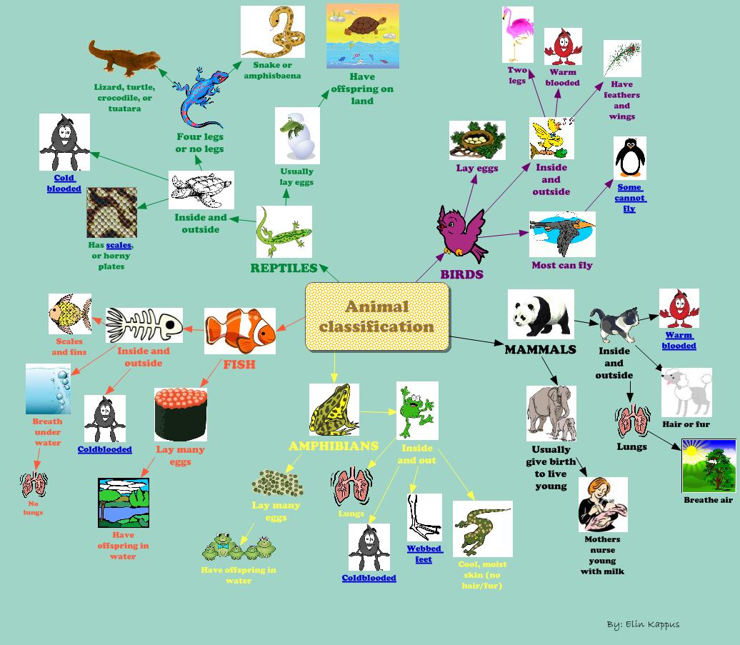 Teaching With Technology