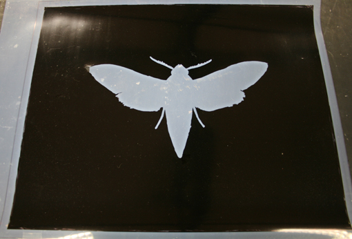 Exposed: Screen Exposure / Part 1 - Acetate printing...