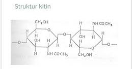 Fakta Kitin: Struktur, Fungsi, dan Penggunaan