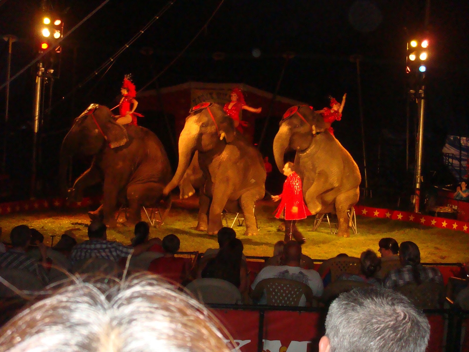 Blessed with a Miracle: 1st Circus as a Family
