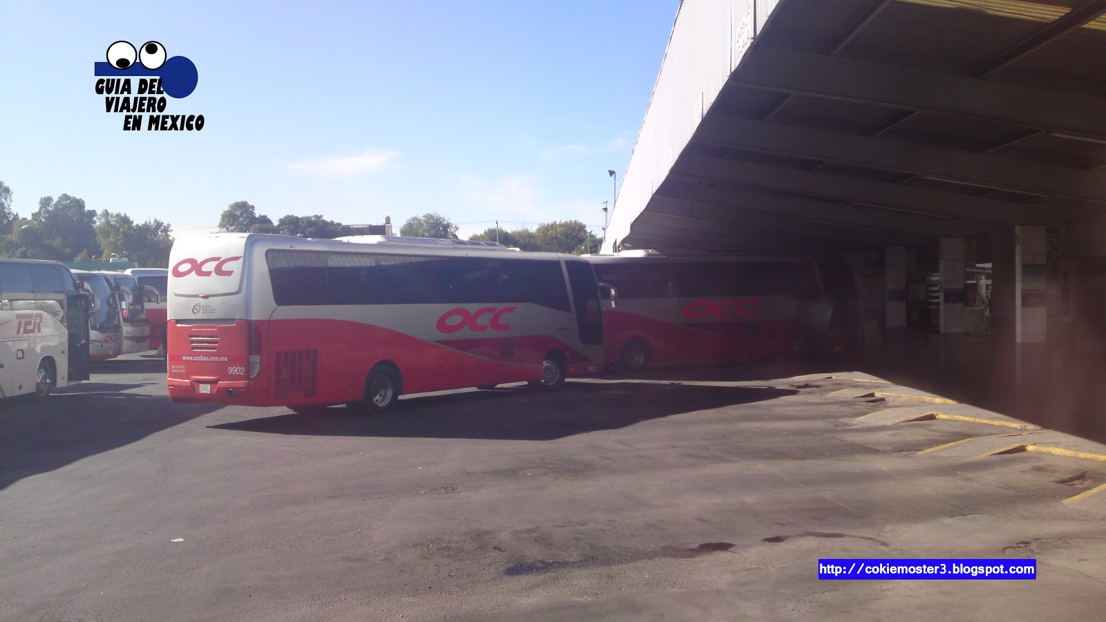 Autobuses OCC