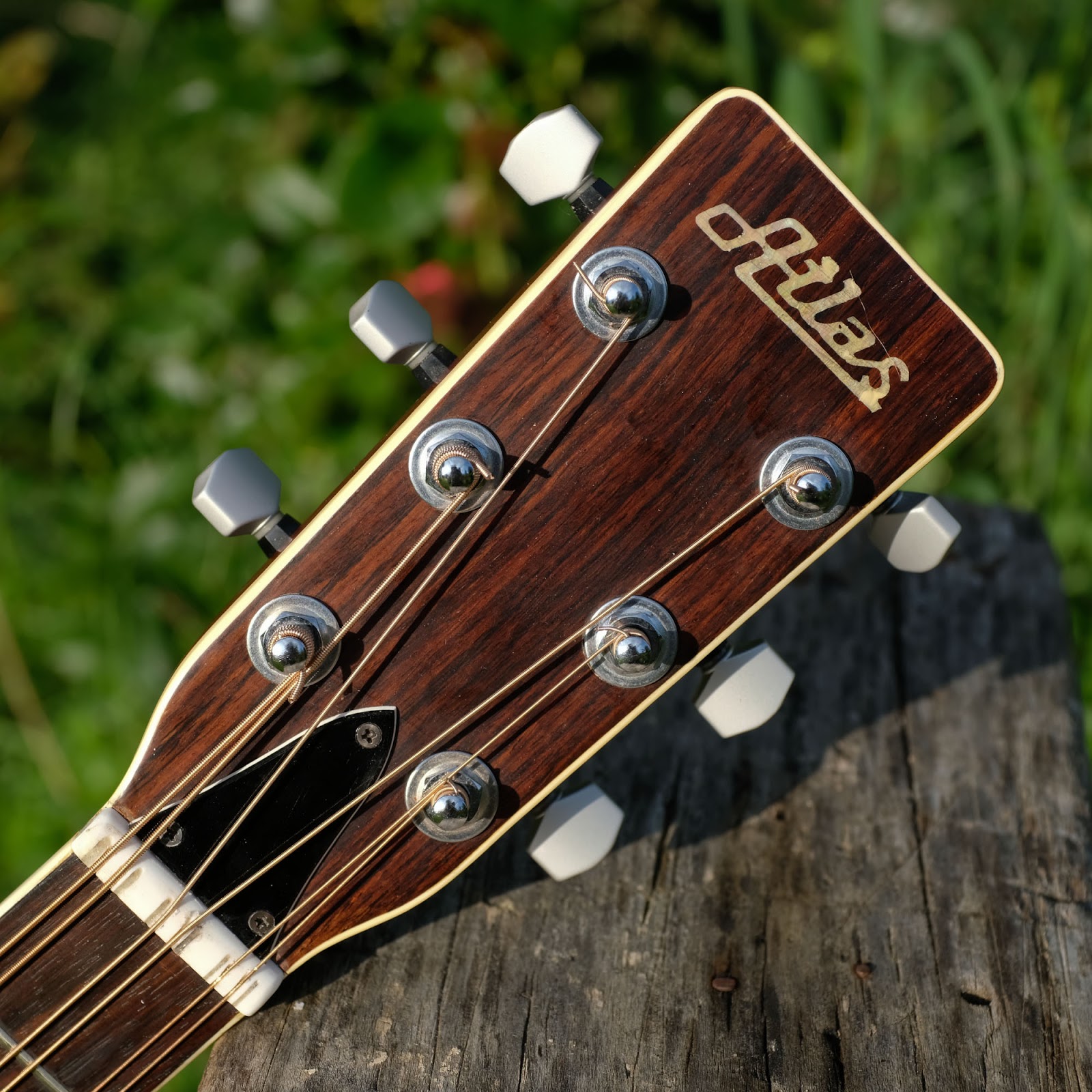 1980s Atlas 3-Course Mandocello Conversion