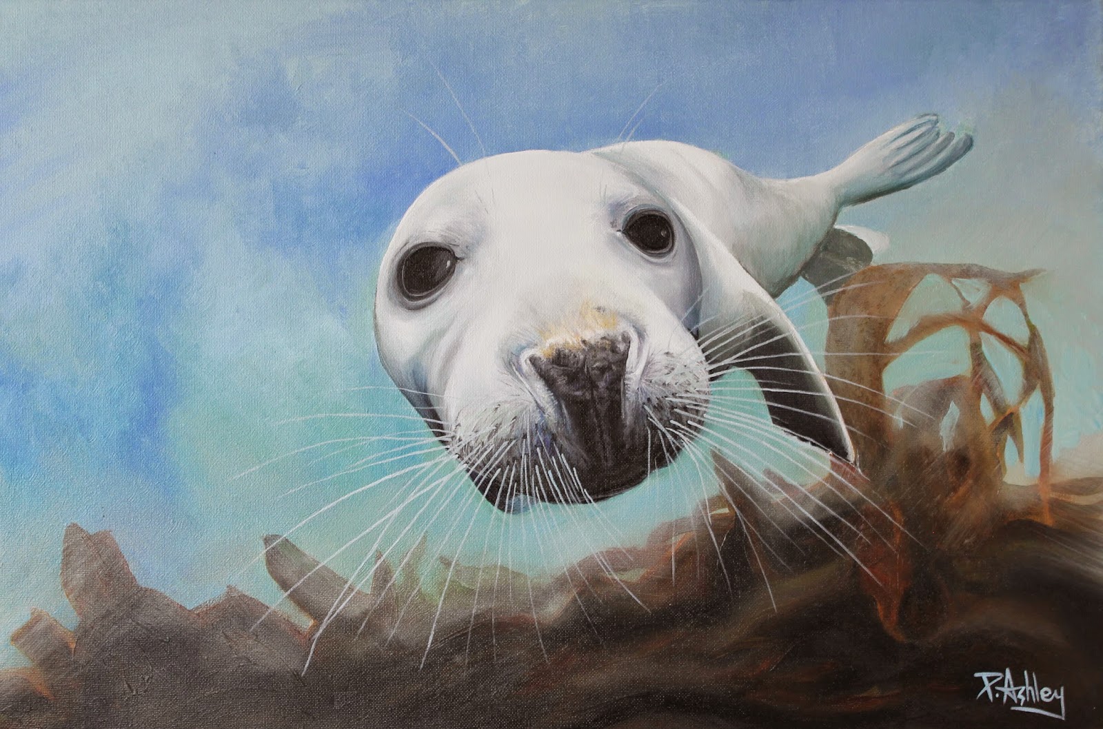 Philip Ashley Art: Marine Life paintings gallery