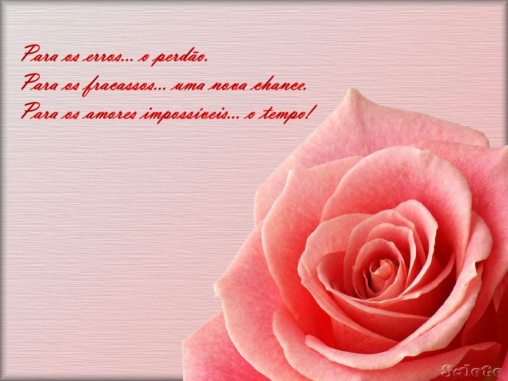 Sherazade1001: Frase - rosa