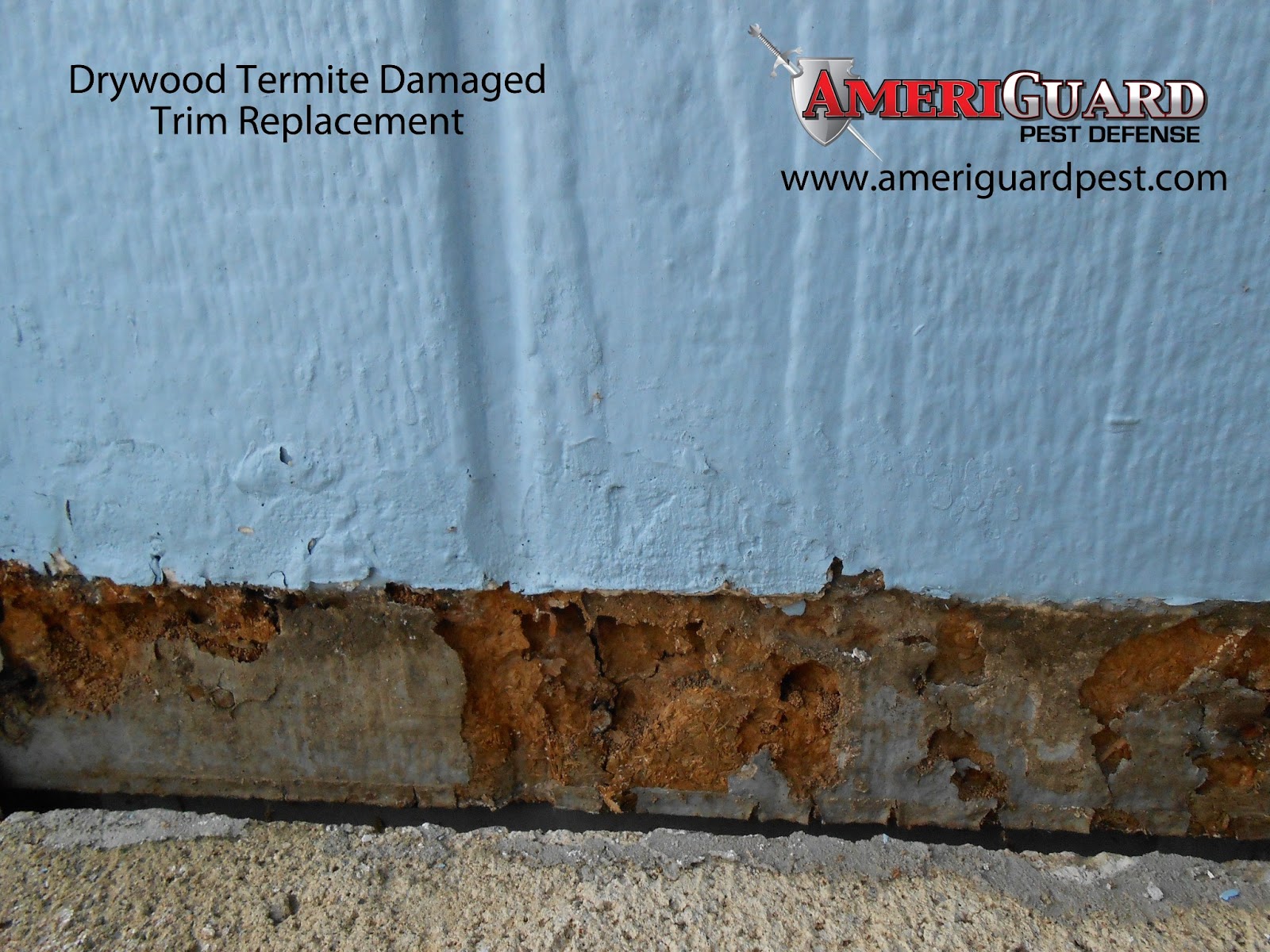 Pest, Termite, Gopher control in Temecula, Murrieta, Hemet, Moreno Valley