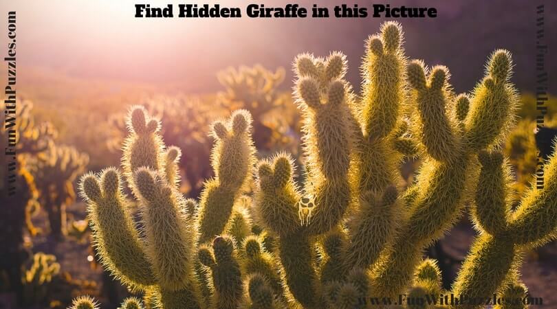 Hidden Faces Picture Puzzles: Can You Spot Them?