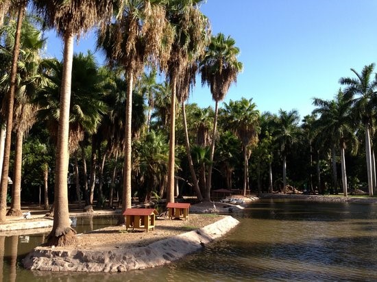 Antes y Después de Los Mochis, Sinaloa : Parque Sinaloa