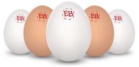 Fitness For The Rest of Us: Eggland's Best Foodtography Contest ~ WIN ...