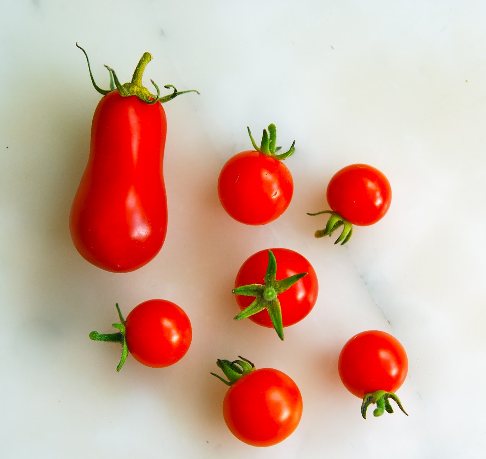 My Recession Kitchen...and garden: First Tomatoes of the Season