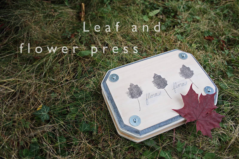 The Intrepid Hermit: DIY: Leaf and Flower Press
