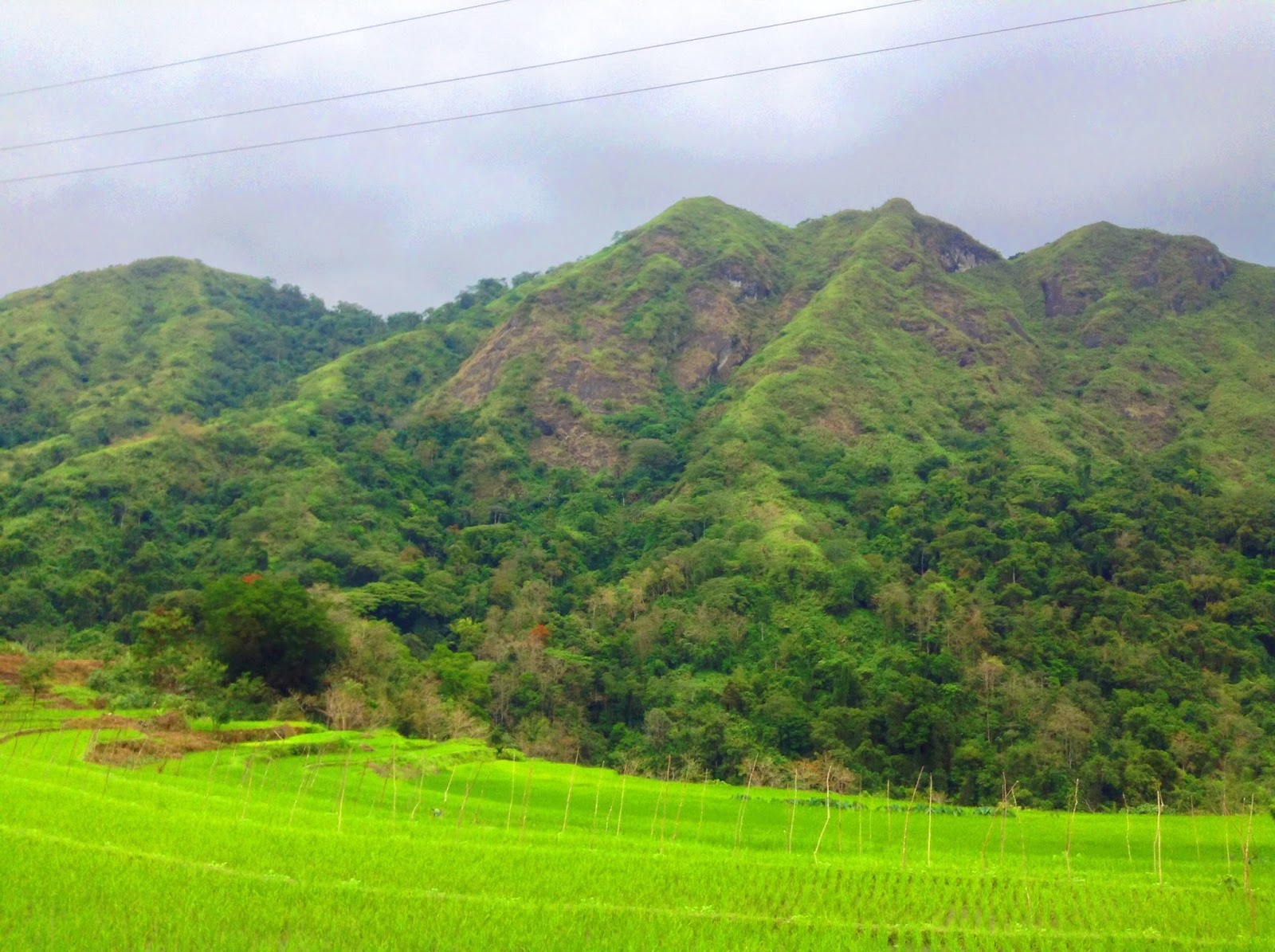 Lost in Paradise: First Solo Hike in Mt. Kapugan - From The Highest ...