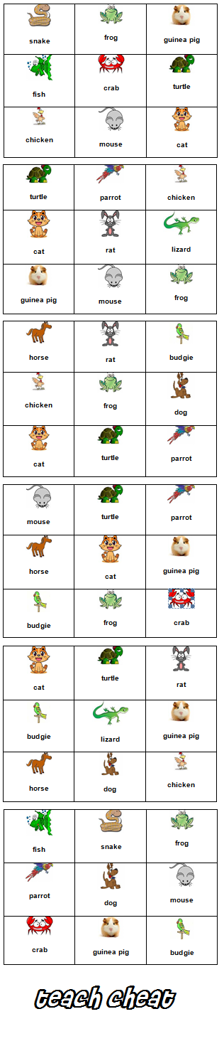 Teach Cheat: HSIE: Pets