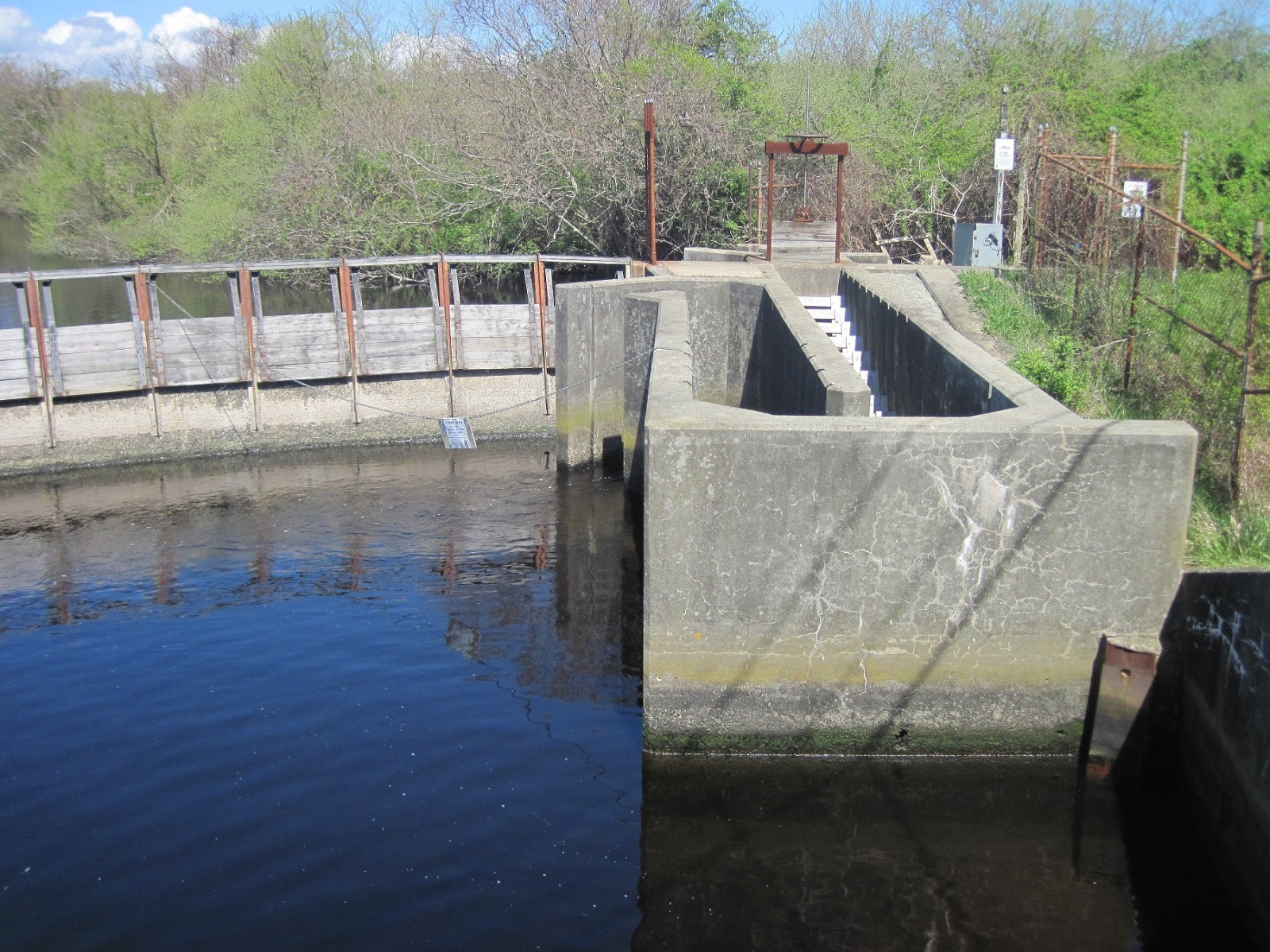 Always Civil: Concrete Encased Steel Beams