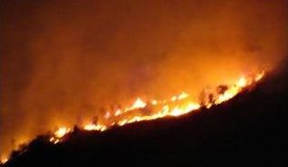 April 2012 - ARUNACHALA GRACE